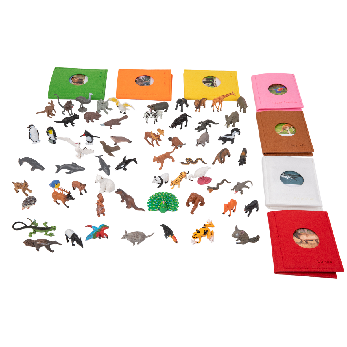 Adena Montessori Animals of the seven continents Montessori Toys for K