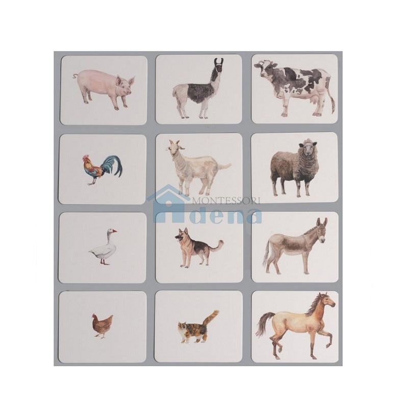 Adena Montessori Educational Materials Nomenclature/Classified Cards f ...
