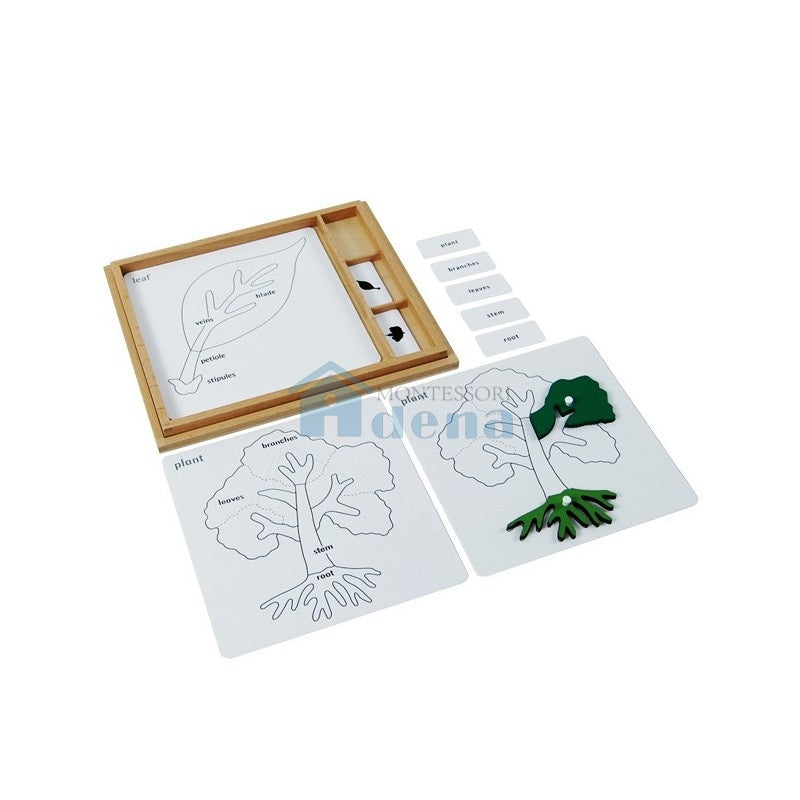 Botany Puzzle Activity Set EN – Montessori Toys