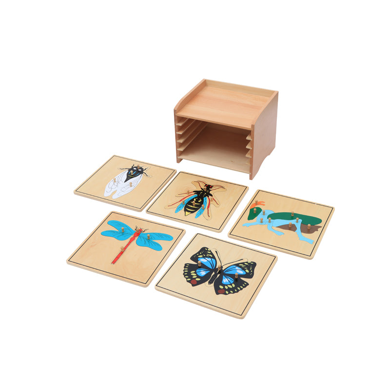 Cricket Puzzle – Montessori Toys