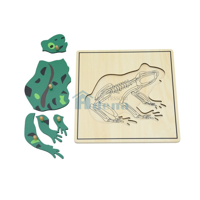 Skeleton Puzzle – Montessori Toys