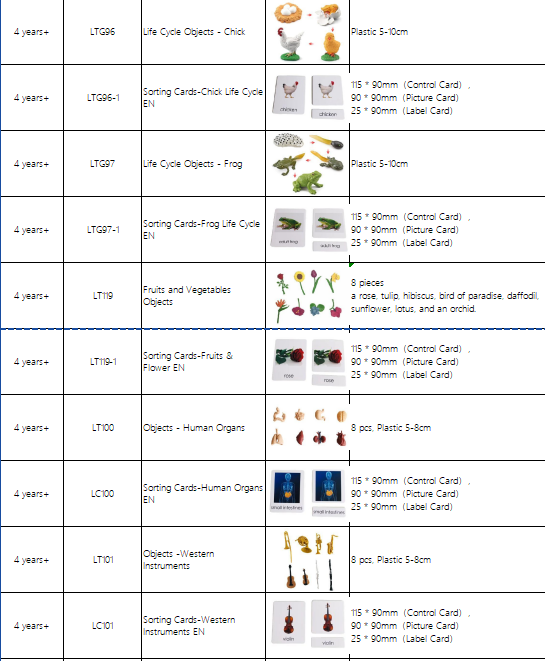 Life Cycle Objects - Chick – Montessori Toys